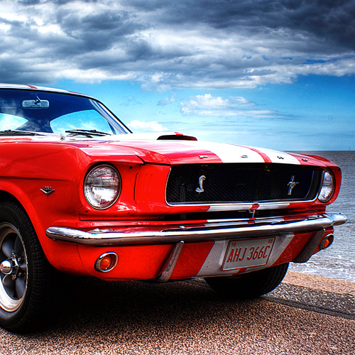 Ford Mustang - National Dispatch